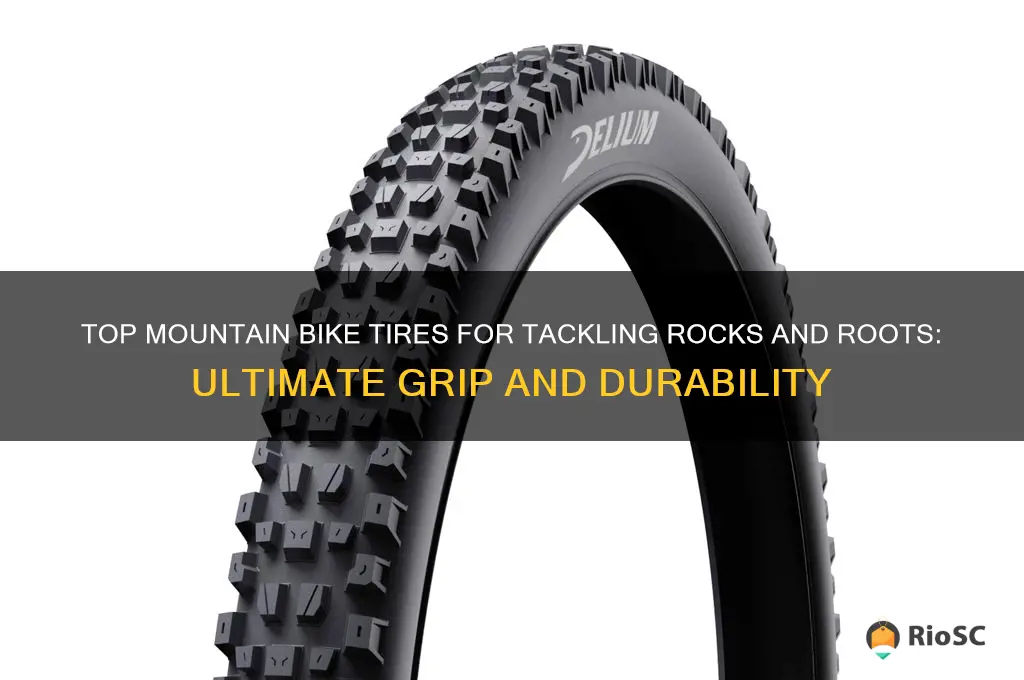 Top Mountain Bike Tires For Tackling Rocks And Roots: Ultimate Grip And ...