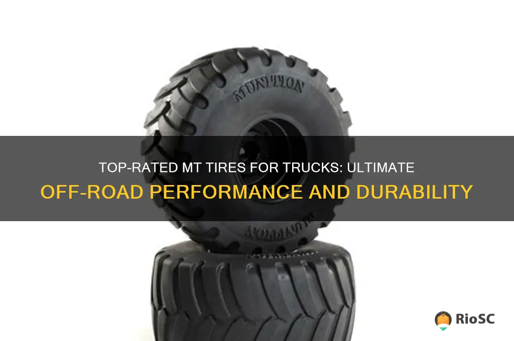Top-Rated Mt Tires For Trucks: Ultimate Off-Road Performance And ...