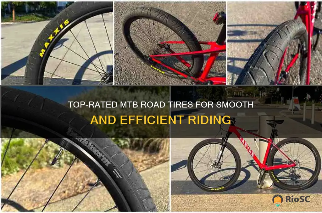Top-Rated Mtb Road Tires For Smooth And Efficient Riding | Riosc