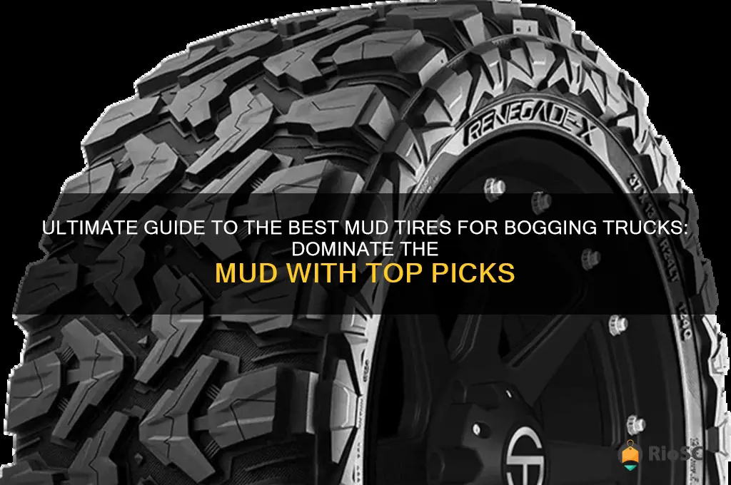 Ultimate Guide To The Best Mud Tires For Bogging Trucks: Dominate The ...