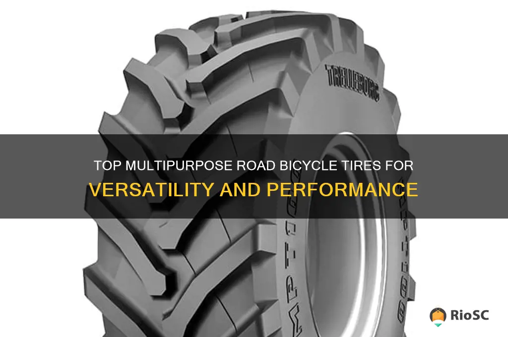 Top Multipurpose Road Bicycle Tires For Versatility And Performance | Riosc