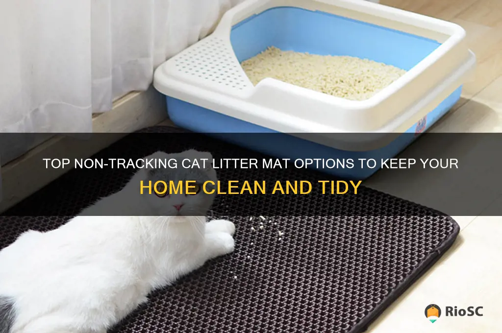 Top Non-Tracking Cat Litter Mat Options To Keep Your Home Clean And ...