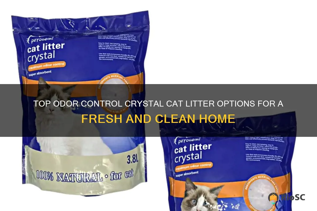 Top Odor Control Crystal Cat Litter Options For A Fresh And Clean Home ...