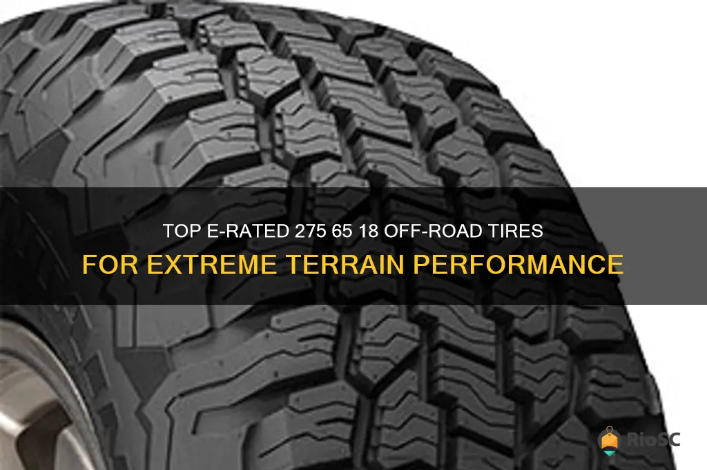 Top E-Rated 275 65 18 Off-Road Tires For Extreme Terrain Performance ...