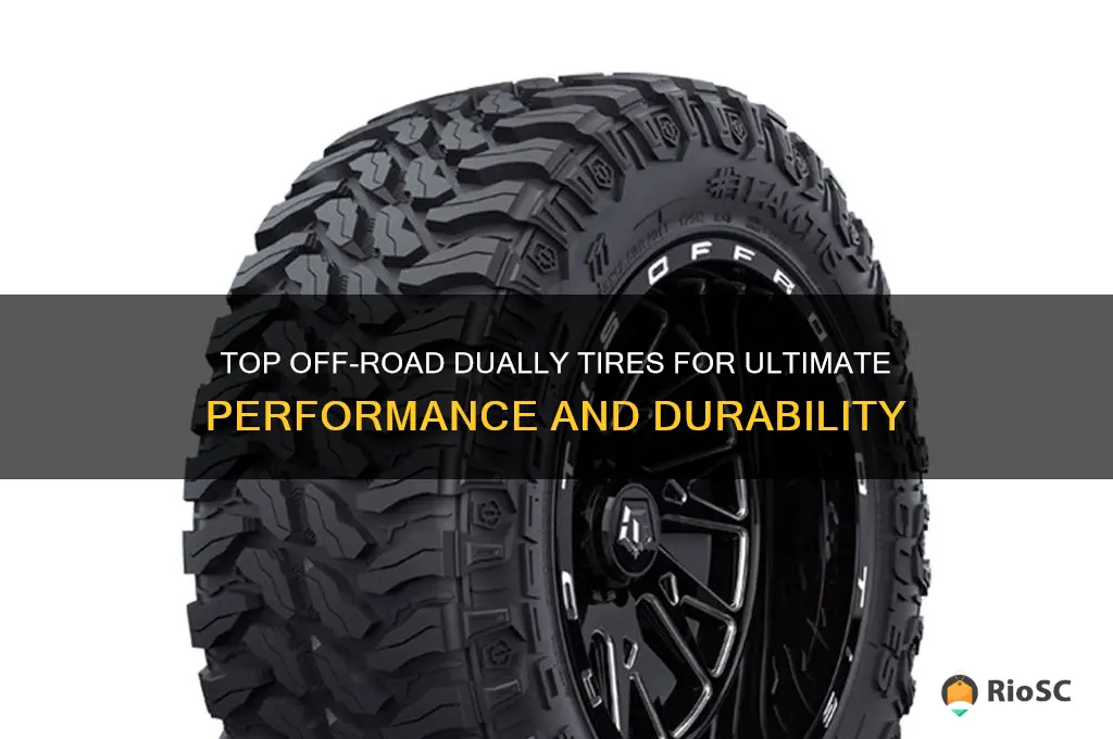 Top Off-Road Dually Tires For Ultimate Performance And Durability | Riosc
