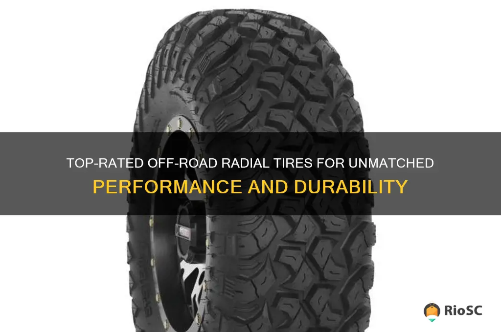 Top-Rated Off-Road Radial Tires For Unmatched Performance And ...