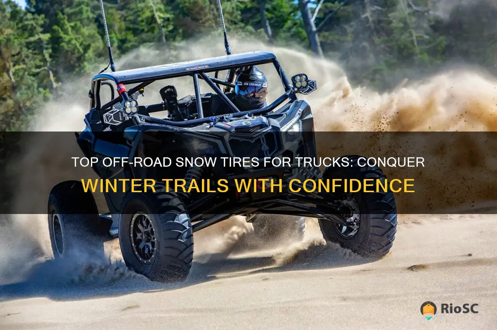 Top Off-Road Snow Tires For Trucks: Conquer Winter Trails With ...