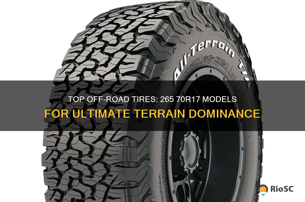 Top Off-Road Tires: 265 70R17 Models For Ultimate Terrain Dominance | Riosc