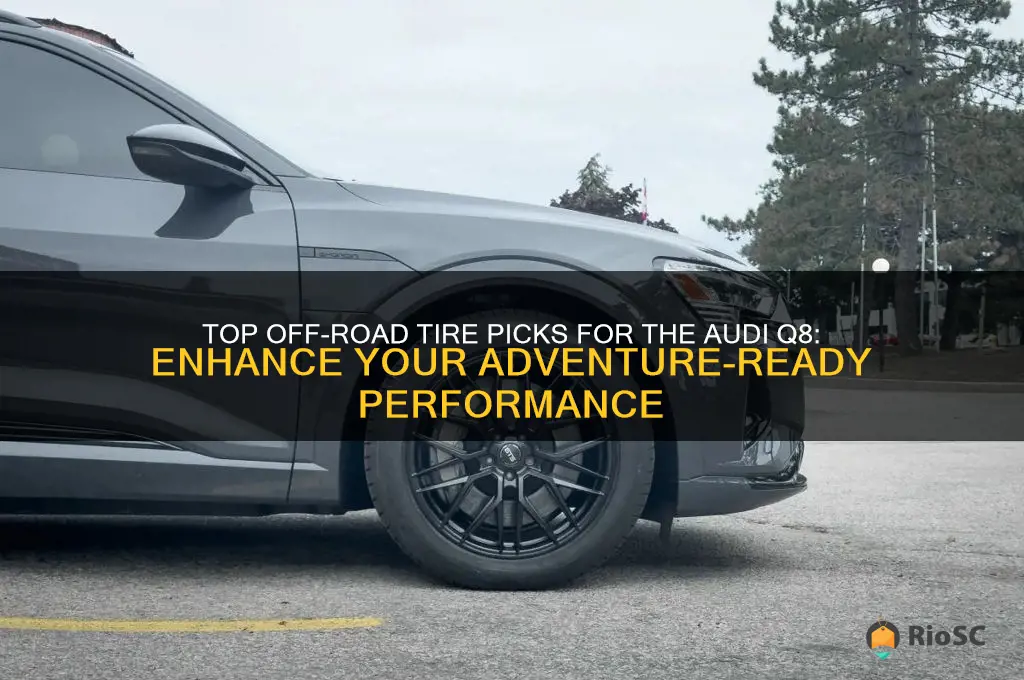 Top Off-Road Tire Picks For The Audi Q8: Enhance Your Adventure-Ready ...