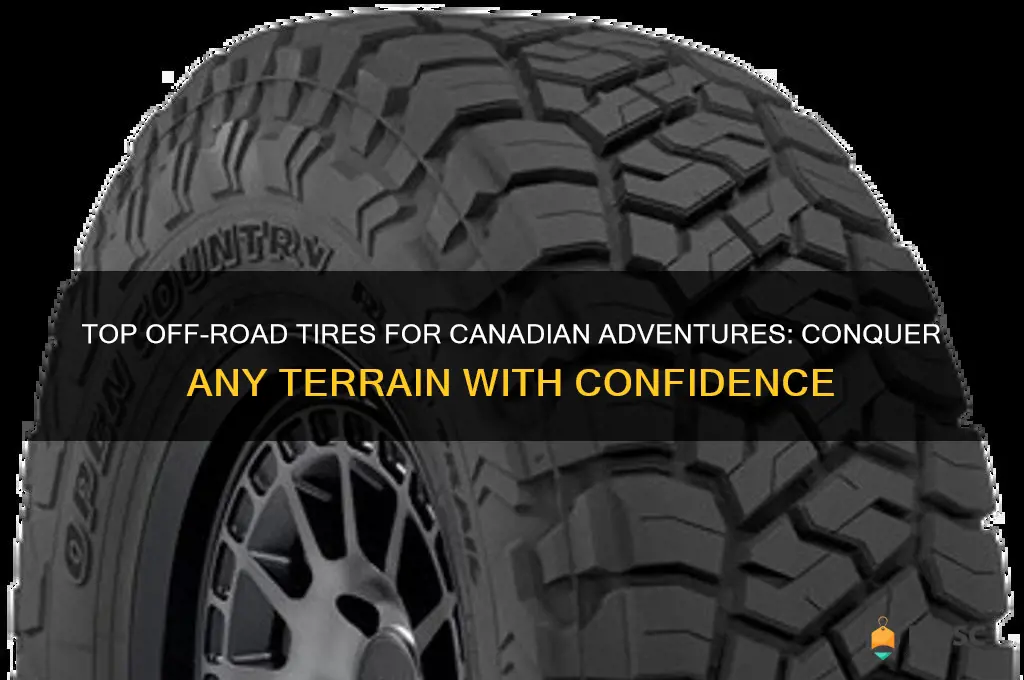 Top Off-Road Tires For Canadian Adventures: Conquer Any Terrain With ...