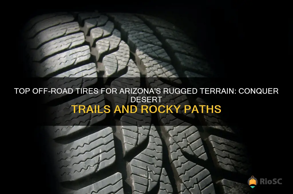 Top Off-Road Tires For Arizona's Rugged Terrain: Conquer Desert Trails ...