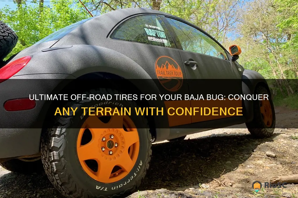 Conquer The Road Your Ultimate Guide To Tires To You Hutto Texasfeed