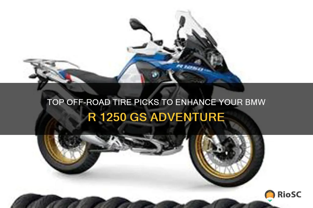 Top Off-Road Tire Picks To Enhance Your Bmw R 1250 Gs Adventure | Riosc