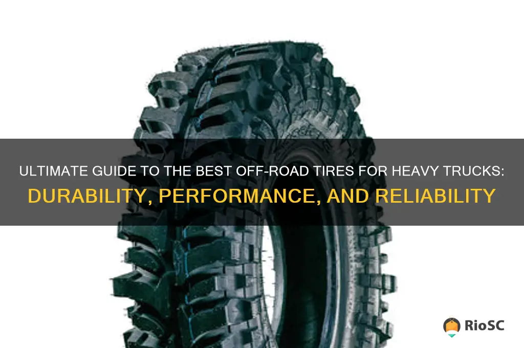 Ultimate Guide To The Best Off-Road Tires For Heavy Trucks: Durability ...