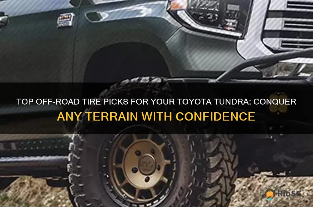 Conquer The Road Your Ultimate Guide To Tires To You Hutto Texasfeed