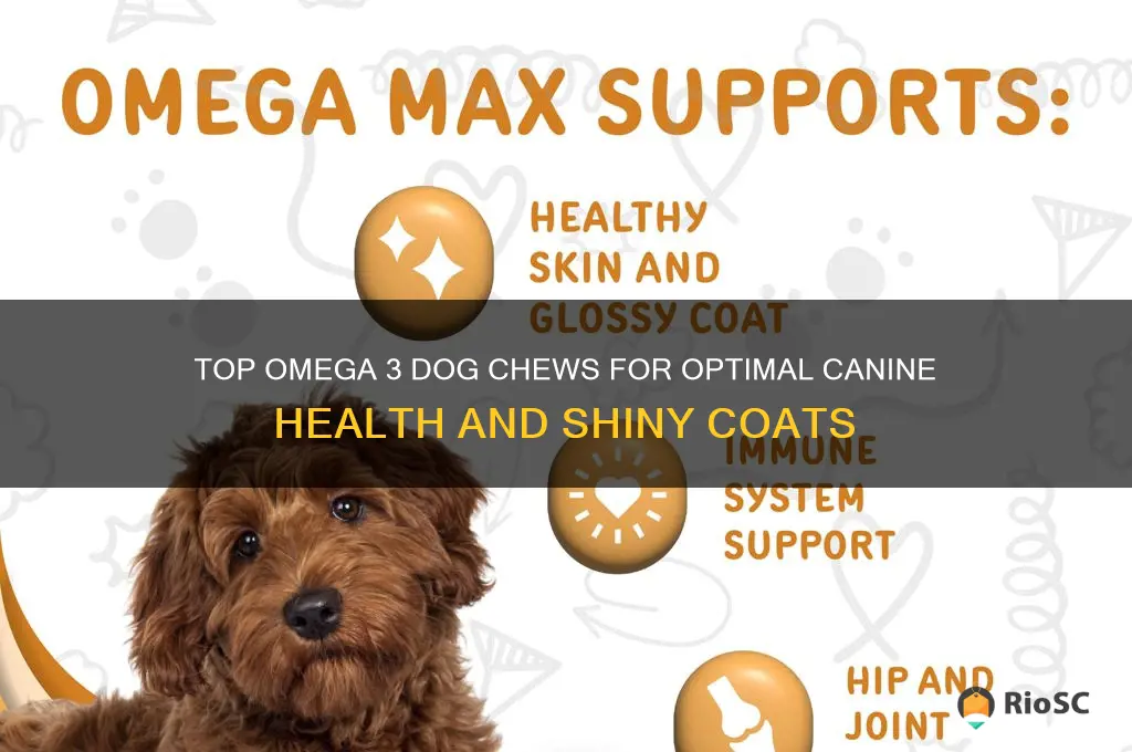Top Omega 3 Dog Chews For Optimal Canine Health And Shiny Coats | Riosc