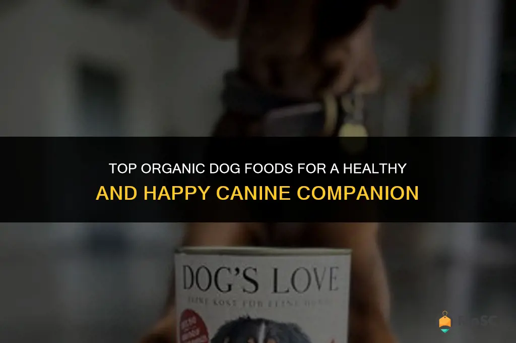 Top Organic Dog Foods For A Healthy And Happy Canine Companion | Riosc