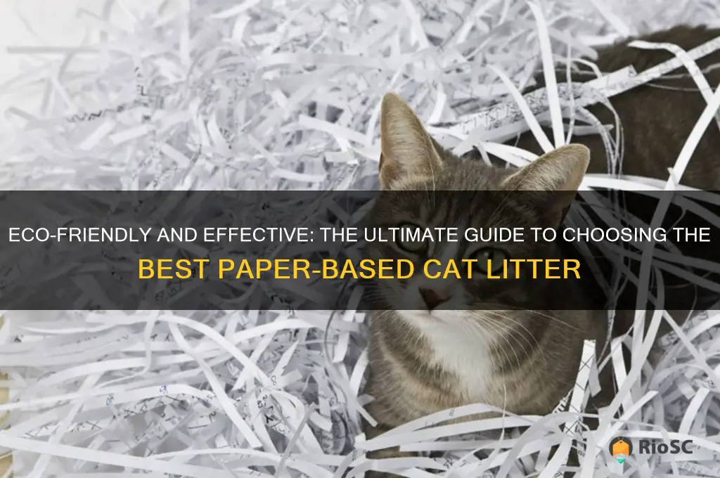 Eco-Friendly And Effective: The Ultimate Guide To Choosing The Best ...