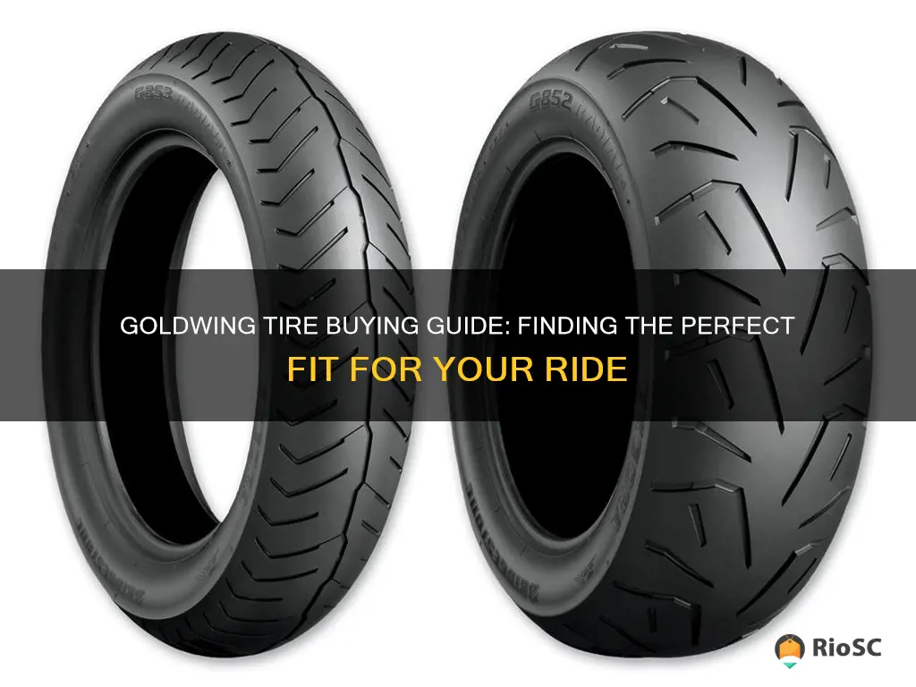 Goldwing Tire Buying Guide: Finding The Perfect Fit For Your Ride | Riosc