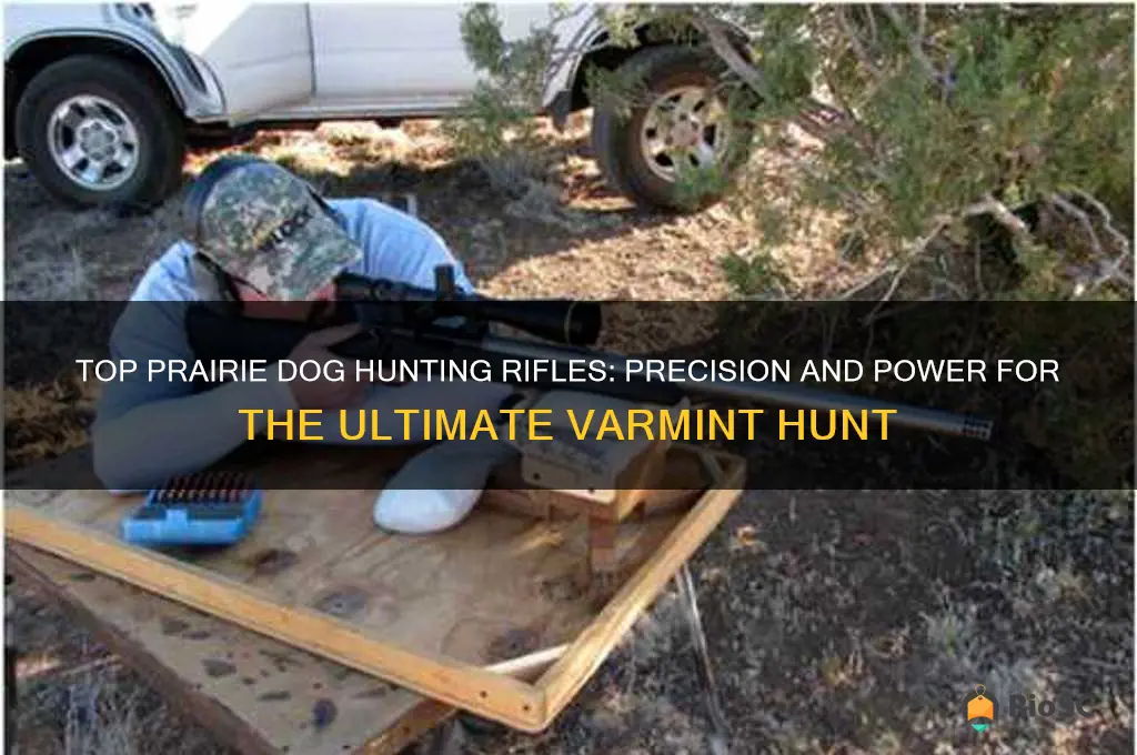 Top Prairie Dog Hunting Rifles: Precision And Power For The Ultimate ...
