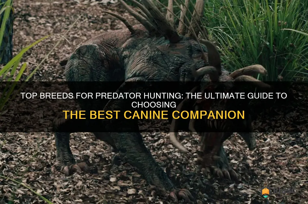 Top Breeds For Predator Hunting: The Ultimate Guide To Choosing The ...