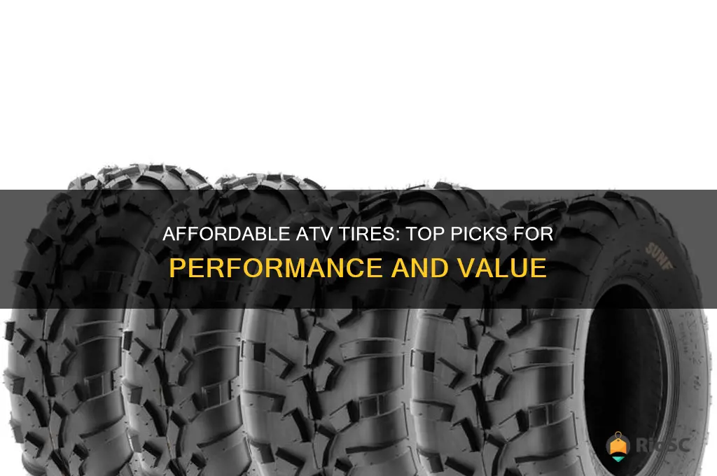Affordable Atv Tires: Top Picks For Performance And Value | Riosc