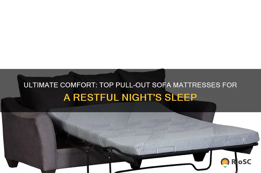 Ultimate Comfort: Top Pull-Out Sofa Mattresses For A Restful Night's ...