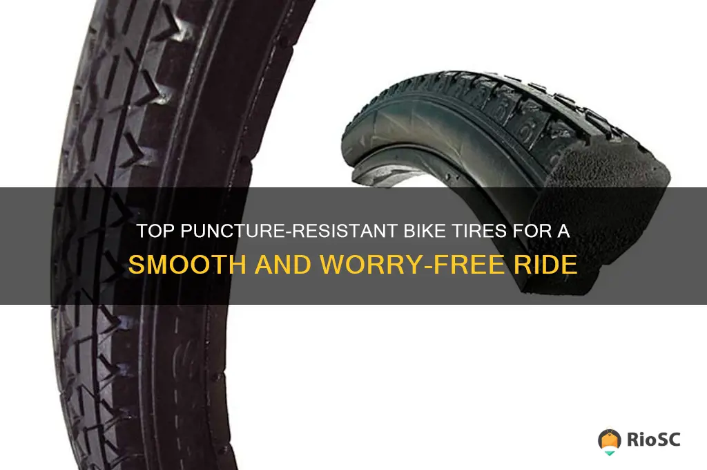 Top Puncture-Resistant Bike Tires For A Smooth And Worry-Free Ride | Riosc