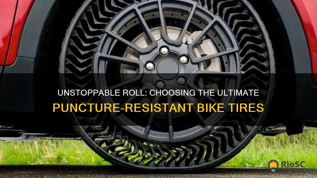 Unstoppable Roll: Choosing The Ultimate Puncture-Resistant Bike Tires ...