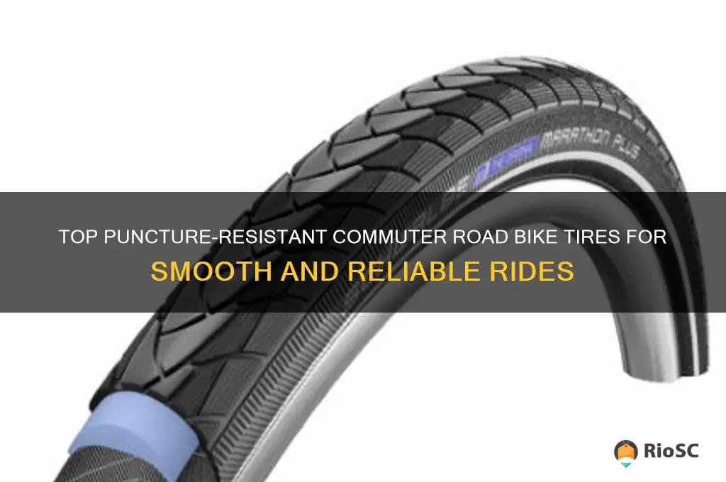 Top Puncture-Resistant Commuter Road Bike Tires For Smooth And Reliable ...