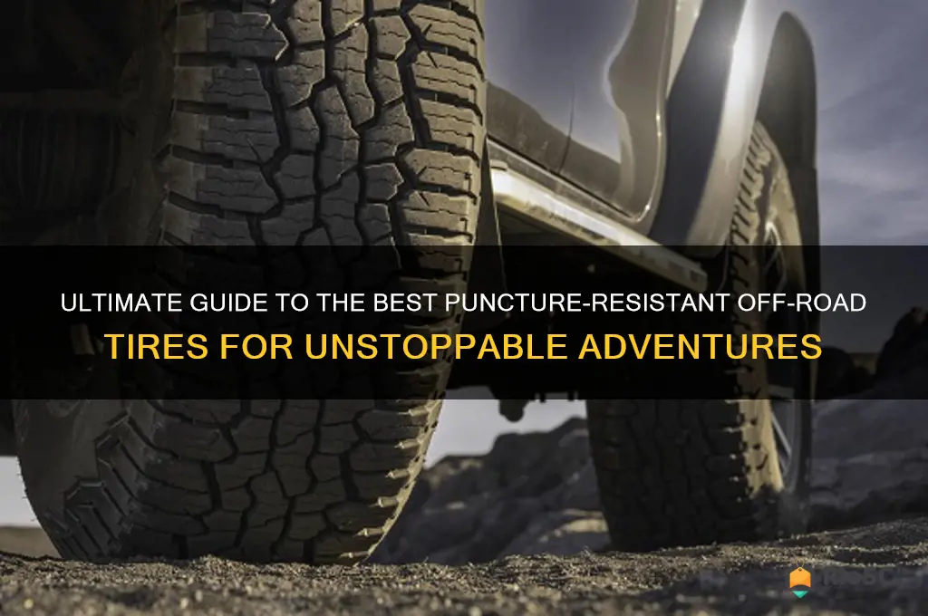 Ultimate Guide To The Best Puncture-Resistant Off-Road Tires For ...