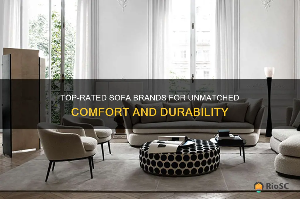 Top-Rated Sofa Brands For Unmatched Comfort And Durability | Riosc