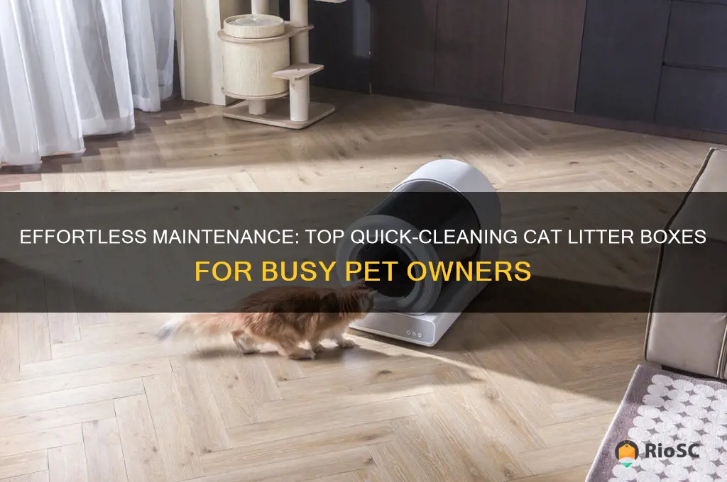 Effortless Maintenance: Top Quick-Cleaning Cat Litter Boxes For Busy ...