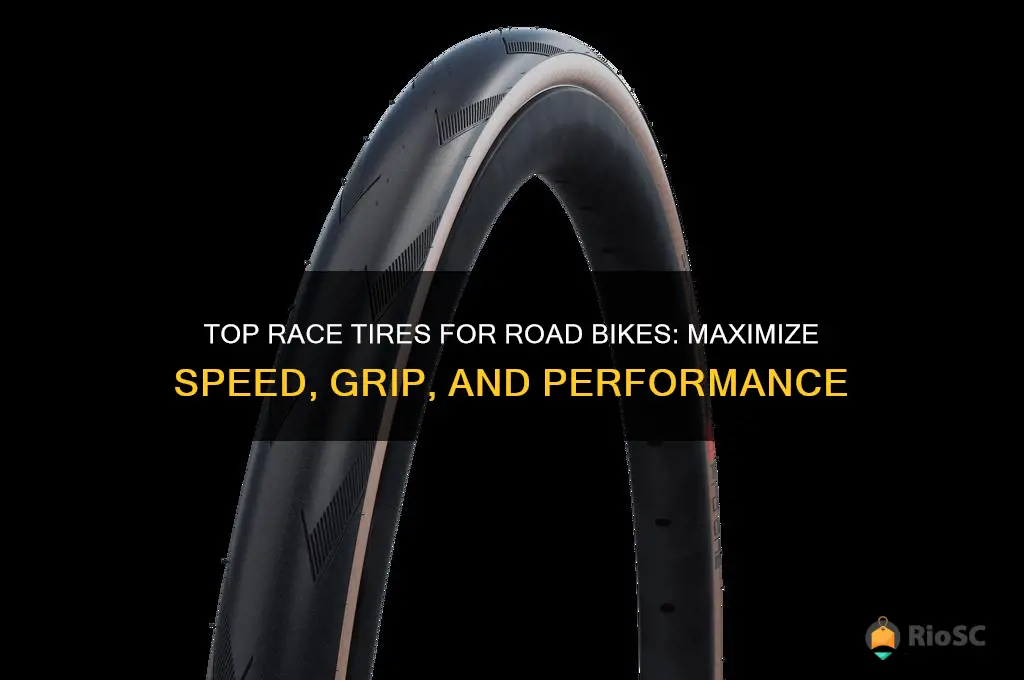 Top Race Tires For Road Bikes: Maximize Speed, Grip, And Performance ...