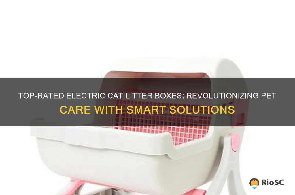 Top-Rated Electric Cat Litter Boxes: Revolutionizing Pet Care With ...