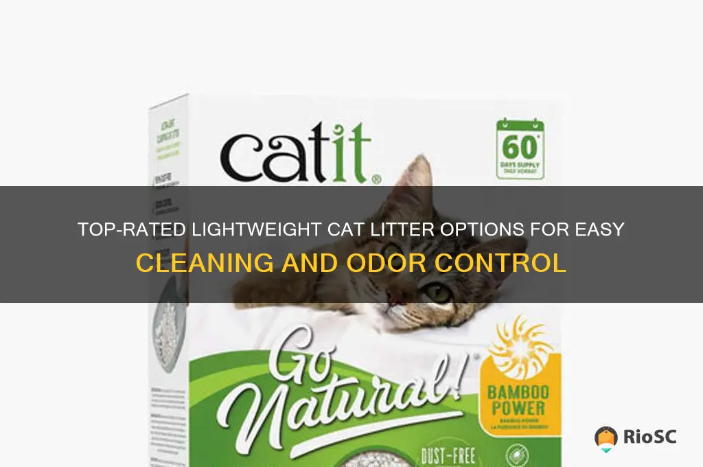 Top-Rated Lightweight Cat Litter Options For Easy Cleaning And Odor ...