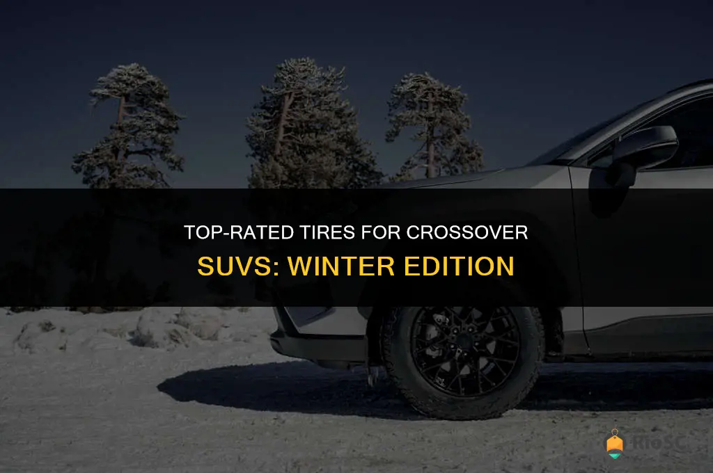 Top-Rated Tires For Crossover Suvs: Winter Edition | Riosc