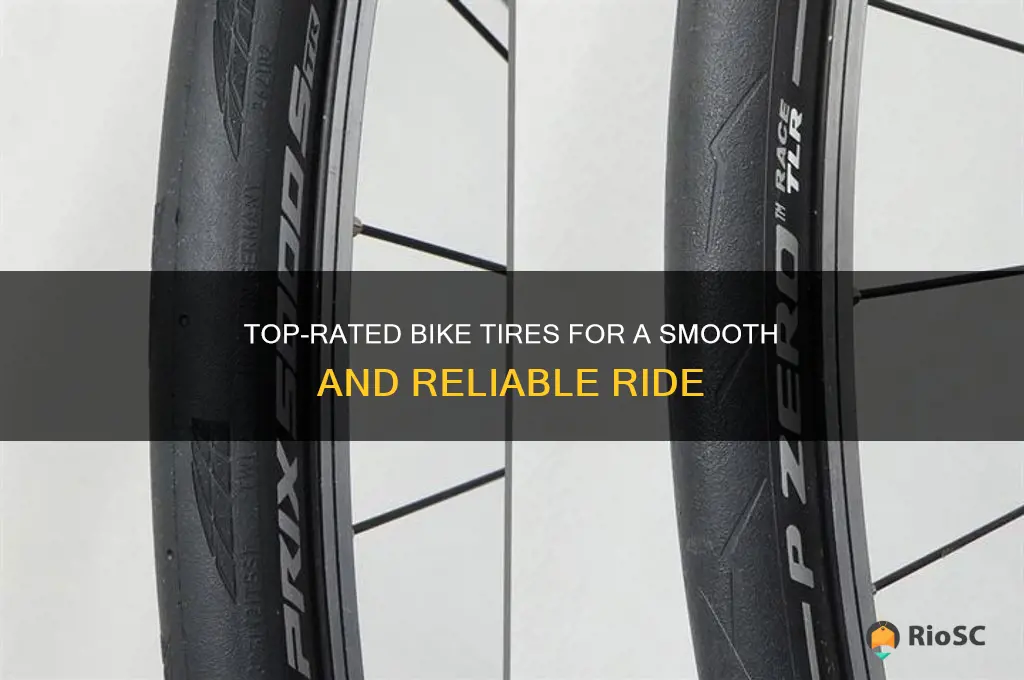 Top-Rated Bike Tires For A Smooth And Reliable Ride | Riosc
