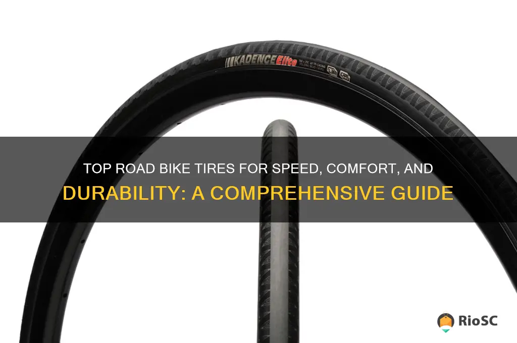 Top Road Bike Tires For Speed, Comfort, And Durability: A Comprehensive ...