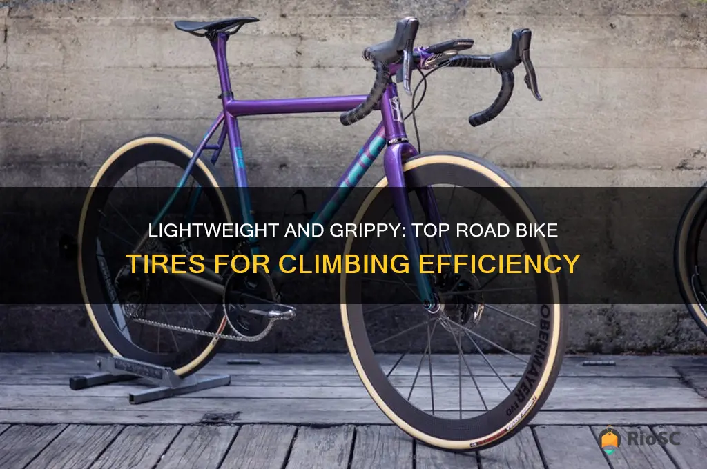 Lightweight And Grippy: Top Road Bike Tires For Climbing Efficiency | Riosc