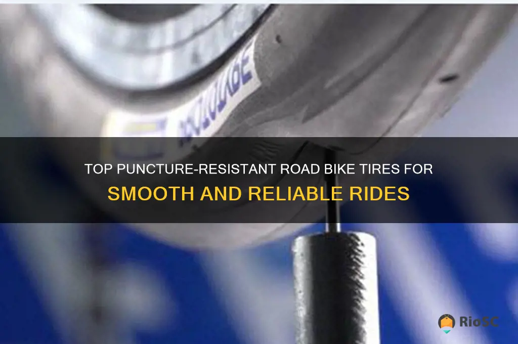 Top Puncture-Resistant Road Bike Tires For Smooth And Reliable Rides ...