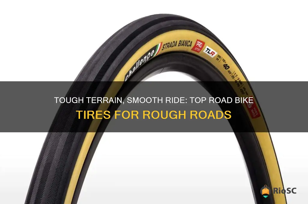 Tough Terrain, Smooth Ride: Top Road Bike Tires For Rough Roads | Riosc