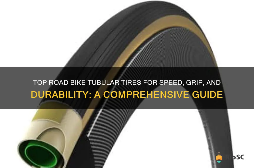 Top Road Bike Tubular Tires For Speed, Grip, And Durability: A ...