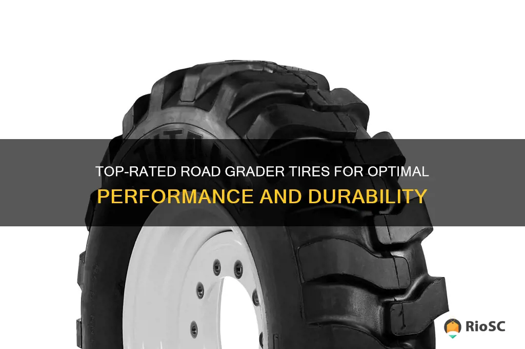 Top-Rated Road Grader Tires For Optimal Performance And Durability | Riosc