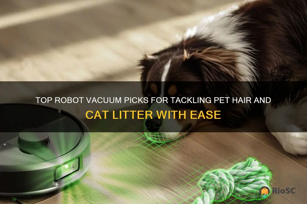 Top Robot Vacuum Picks For Tackling Pet Hair And Cat Litter With Ease ...
