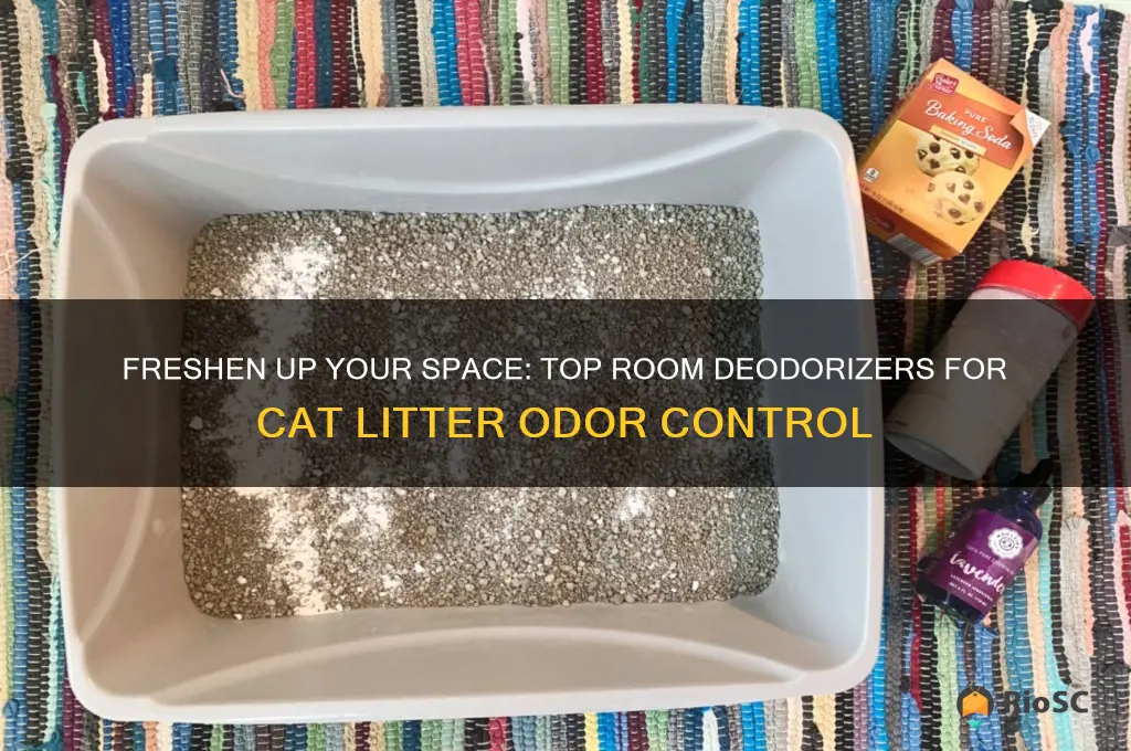 Freshen Up Your Space: Top Room Deodorizers For Cat Litter Odor Control ...