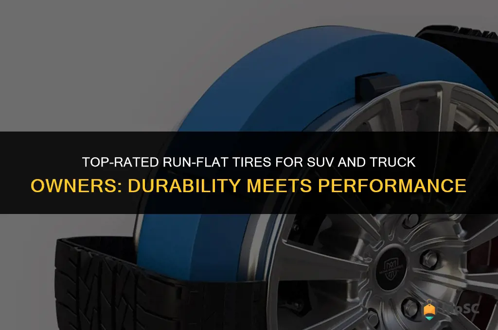 Top-Rated Run-Flat Tires For Suv And Truck Owners: Durability Meets ...