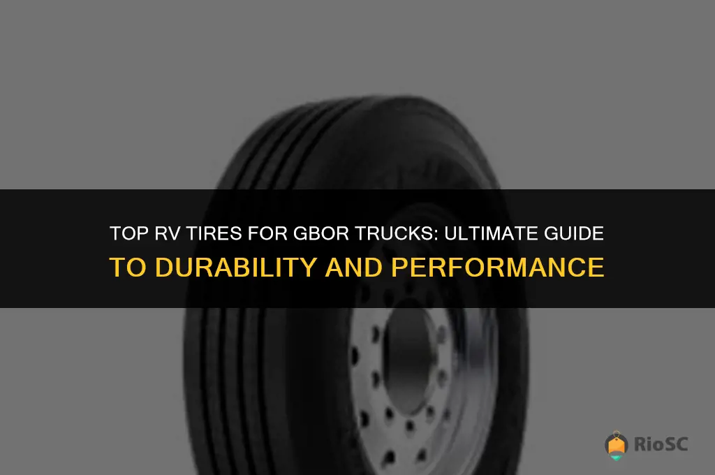 Top Rv Tires For Gbor Trucks: Ultimate Guide To Durability And ...