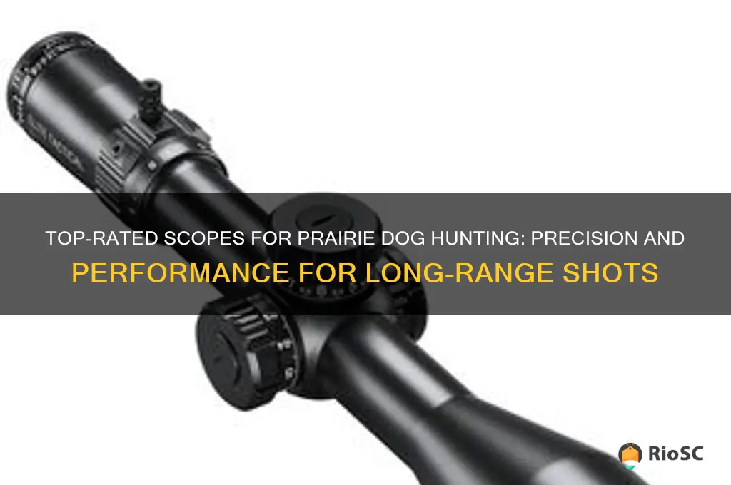 Top-Rated Scopes For Prairie Dog Hunting: Precision And Performance For ...