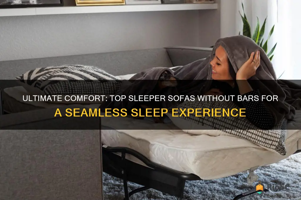 Ultimate Comfort: Top Sleeper Sofas Without Bars For A Seamless Sleep ...